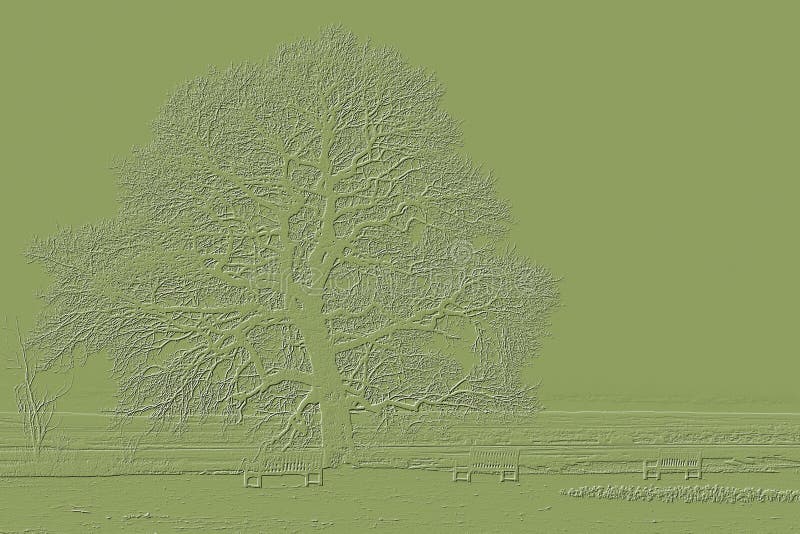 Embossed Image of a Bare Oak Tree Quercus on a Winter`s Day Stock Photo ...