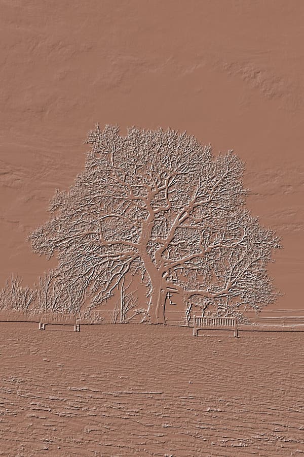 Embossed Image of a Bare Oak Tree Quercus on a Winter`s Day Stock Photo ...