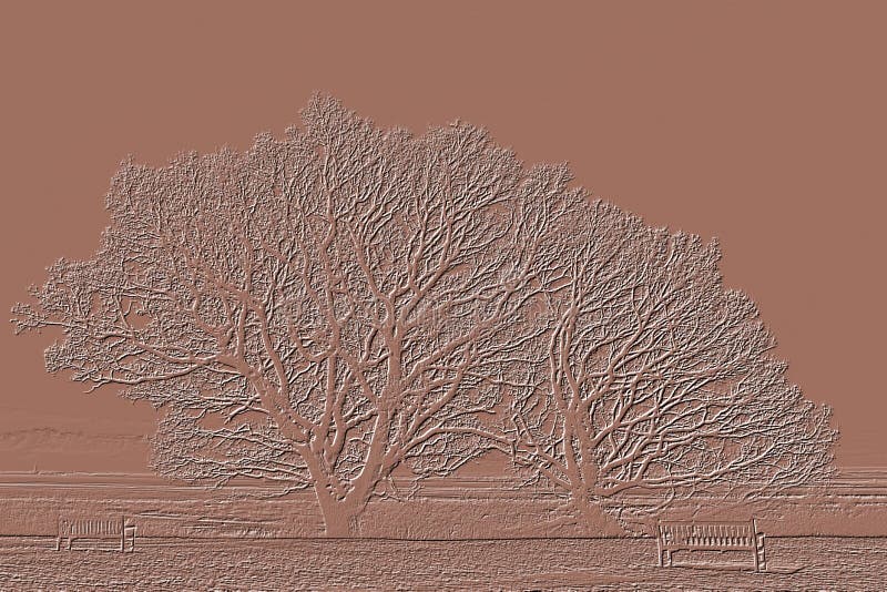 Digitally Embossed Image Bare Oak Trees Quercus on a Winter`s Day Stock ...