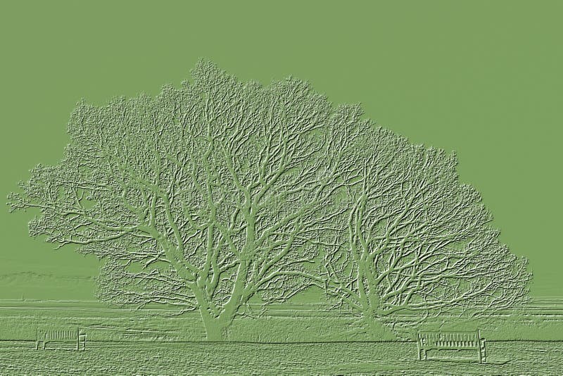 Digitally Embossed Image Bare Oak Trees Quercus on a Winter`s Day Stock ...