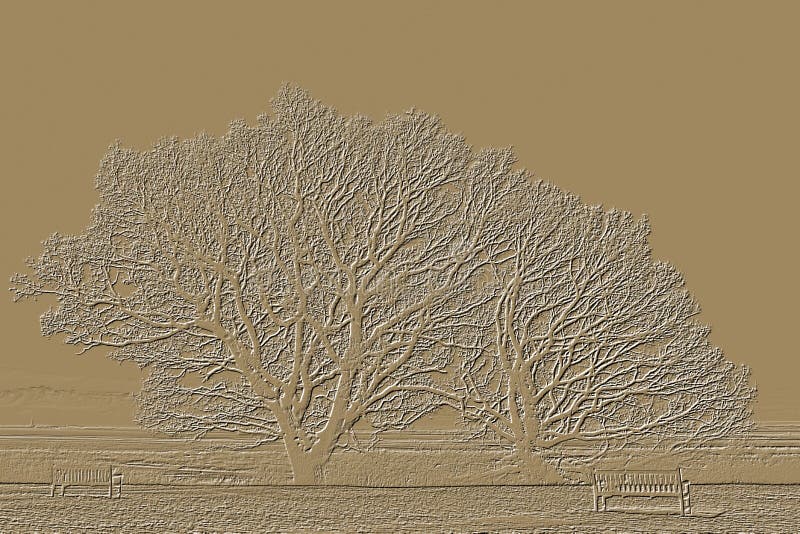 Embossed Image Bare Oak Trees Quercus on a Winter`s Day Stock ...