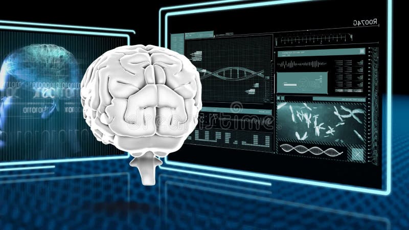 Digital human brain stock footage. Video of cortex, laboratory - 145010406