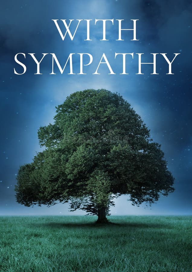 Digitally Generated Image of Sympathy Concept Text Against Tree Against ...