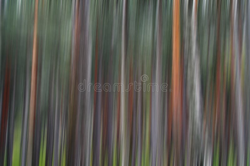 Digitally processed photo stock image. Image of prints - 300640249