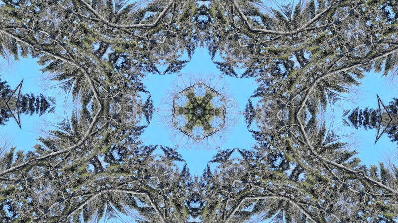 Digitally processed photo stock photo. Image of developed - 317561994