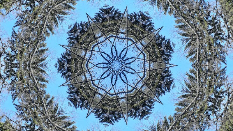 Digitally processed photo stock photo. Image of gain - 317562242