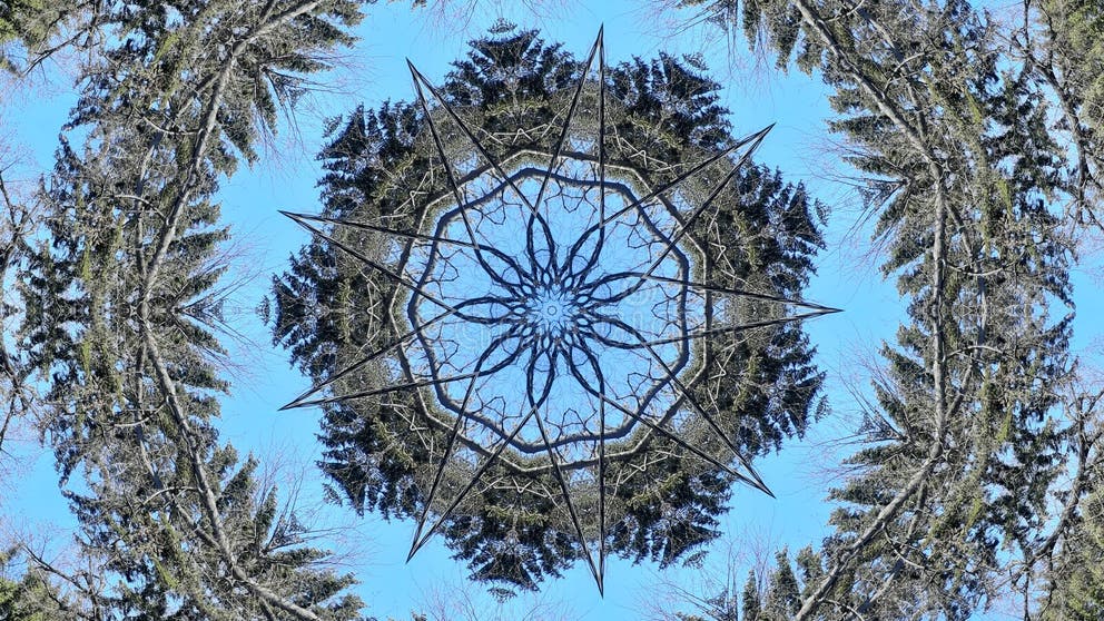 Digitally processed photo stock photo. Image of gain - 317562242