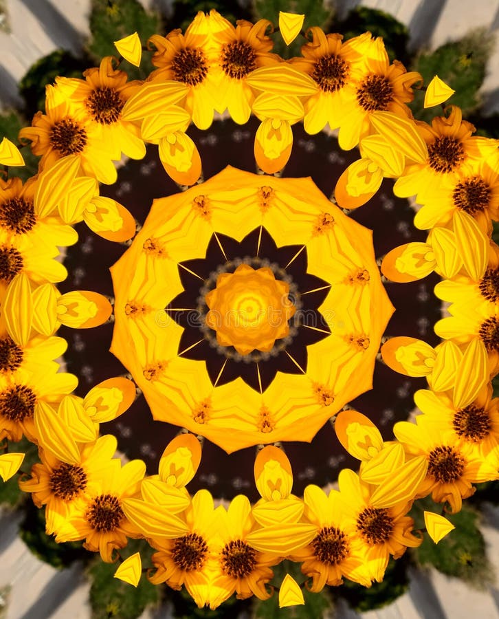 Digitally processed photo. stock photo. Image of dimensions - 339985746