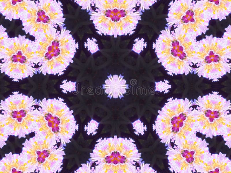 Digitally processed photo stock image. Image of programs - 339990969