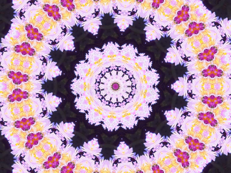 Digitally processed photo stock photo. Image of processing - 339991152