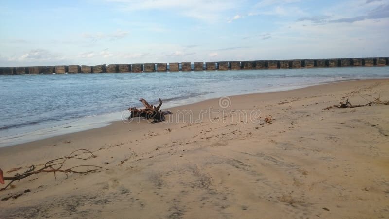 Evasion Manakara Stock Photos - Free & Royalty-Free Stock Photos from ...