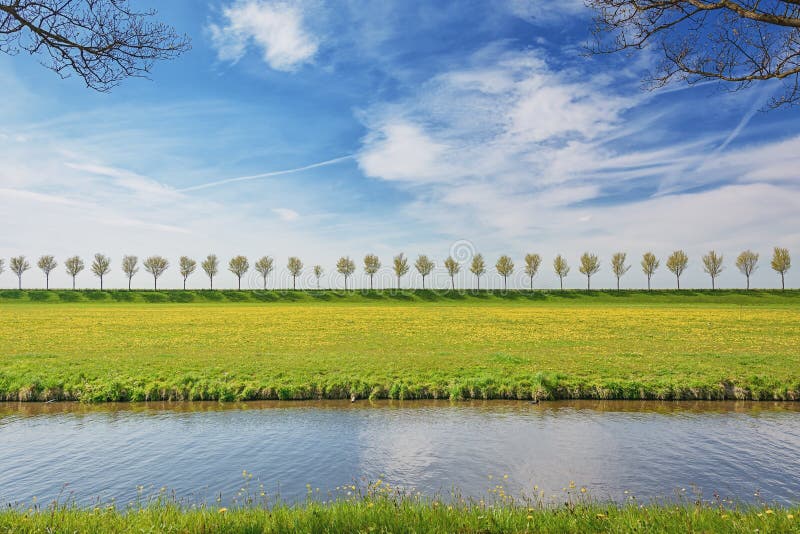 Dijk Met Een Rij Van Bomen in De Beemster-Polder Stock Foto - Image of ...