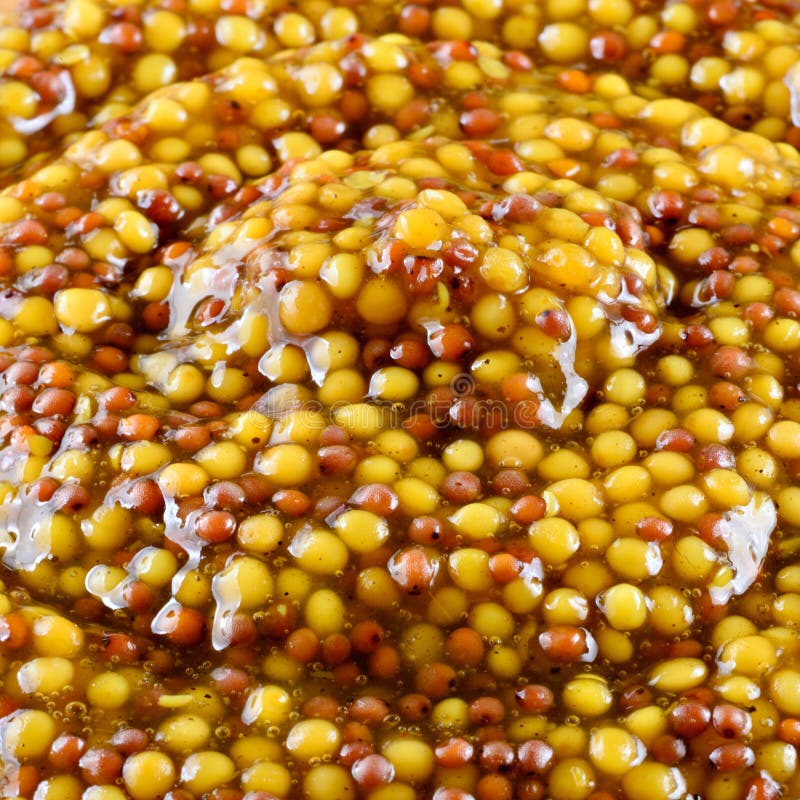 Dijon Mustard. Top View. Food. Stock Photo - Image of mustard, closeup ...