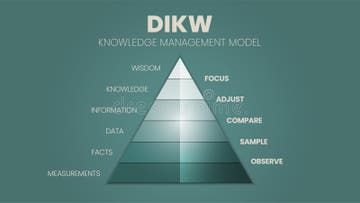 A Vector Illustration of the DIKW Hierarchy Has Wisdom, Knowledge ...