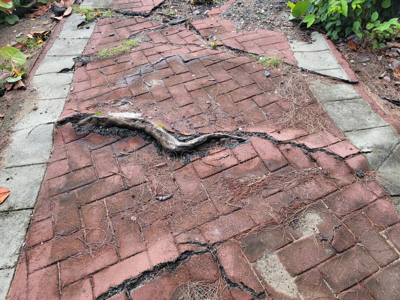 Dilapidated or Broken Red Brick Path or Trail Stock Photo - Image of ...