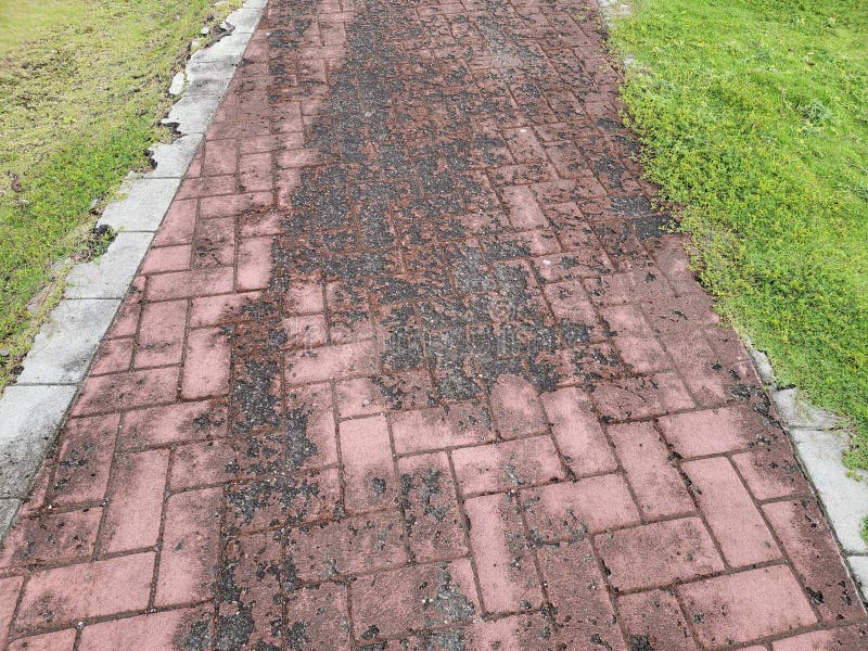 Dilapidated or Broken Red Brick Path or Trail Stock Image - Image of ...