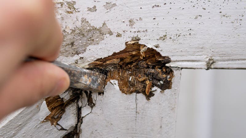 402 Rotten Wood Entrance Stock Photos - Free & Royalty-Free Stock ...