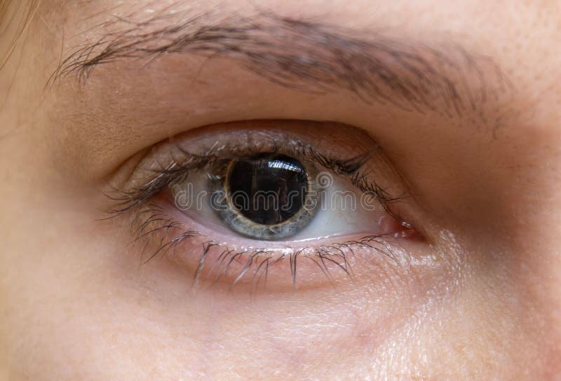 Dilated Pupil of a Woman S Eye Stock Photo - Image of perception ...
