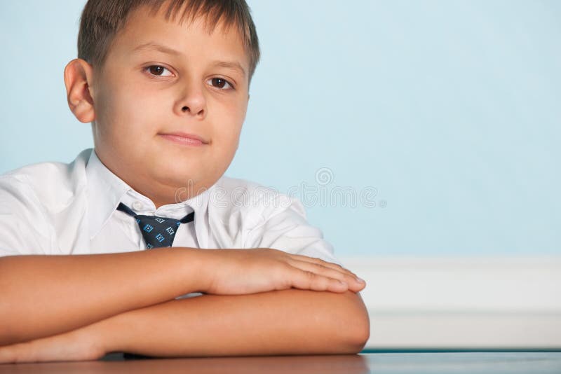 Diligent boy at the desk stock photo. Image of school - 21380754