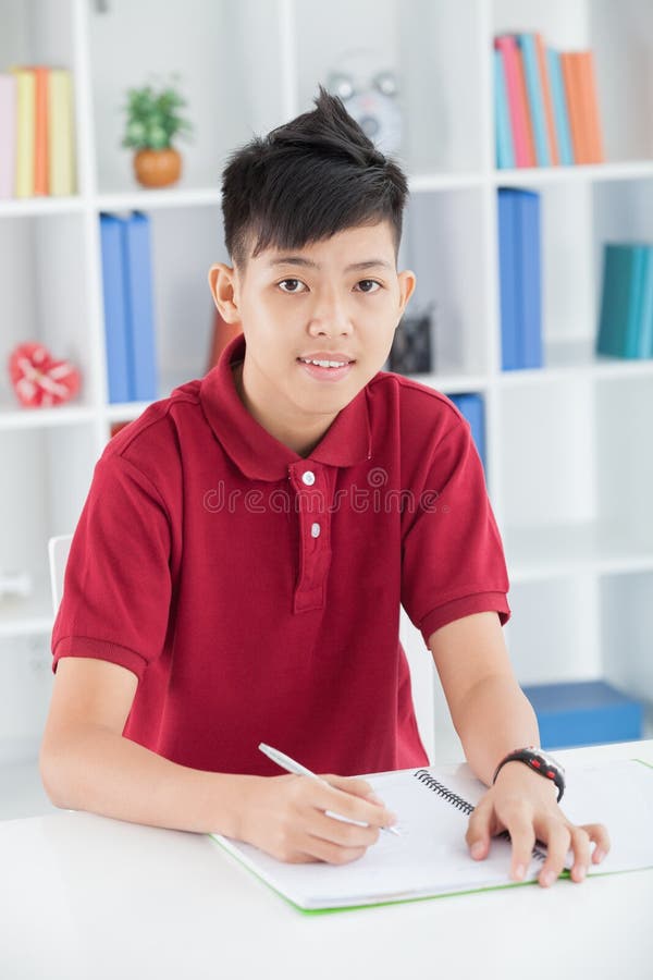Diligent schoolboy stock photo. Image of person, portrait - 32145092