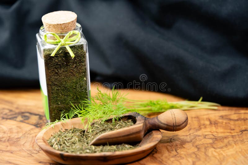 Dill Anethum graveolens stock photo. Image of dill, medicine - 290113574