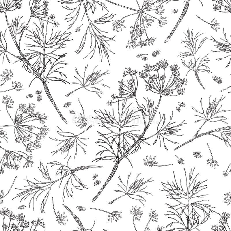 Dill Botanical Seamless Pattern Texture Hand Drawn Sketch Vector ...