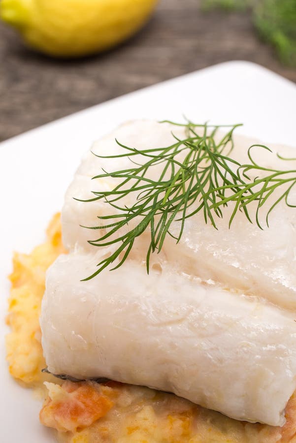 Dill on cod skrei fish stock photo. Image of plate, dill - 68988200