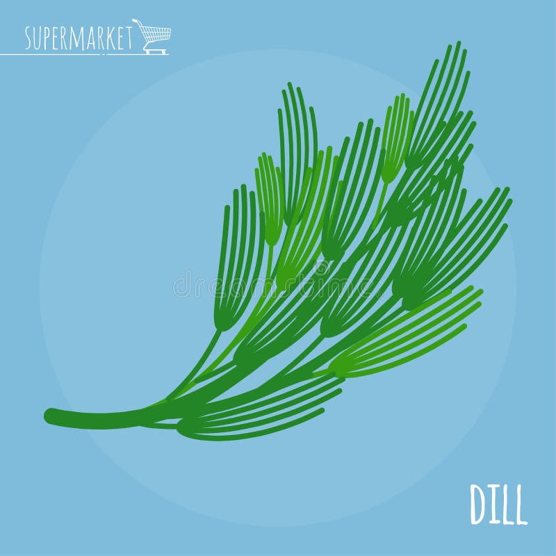 Dill Icon In Outline Style Isolated On White Background. Herb An Spices ...