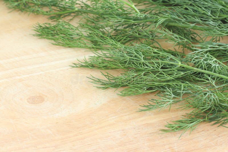 Dill stock image. Image of leaf, green, health, garden - 65396127