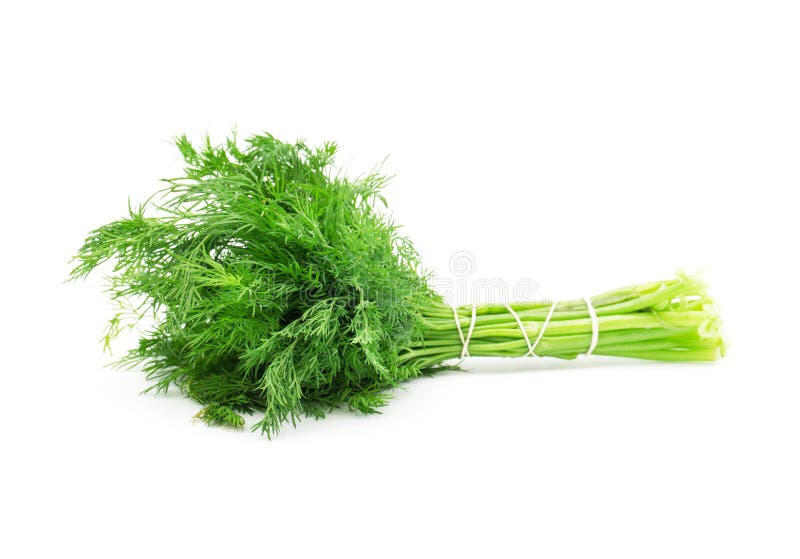 Dill stock image. Image of cook, green, aromatic, condiment - 264743911