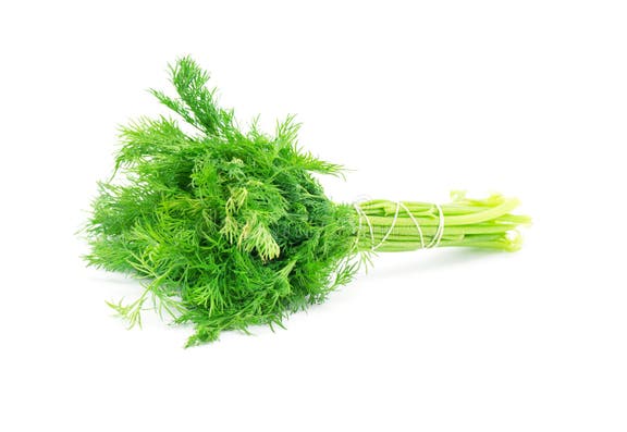 Dill stock image. Image of dill, ingredient, fragrance - 268625751