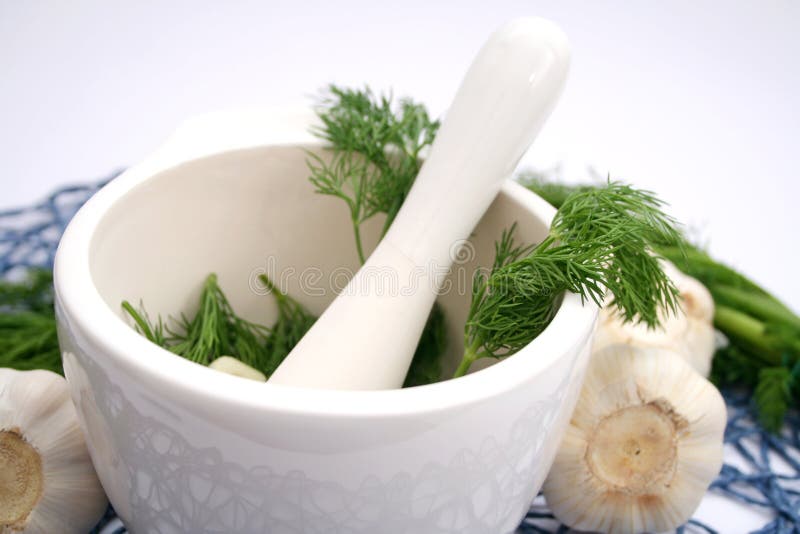 Dill and garlic stock image. Image of garlic, food, dill - 37199345
