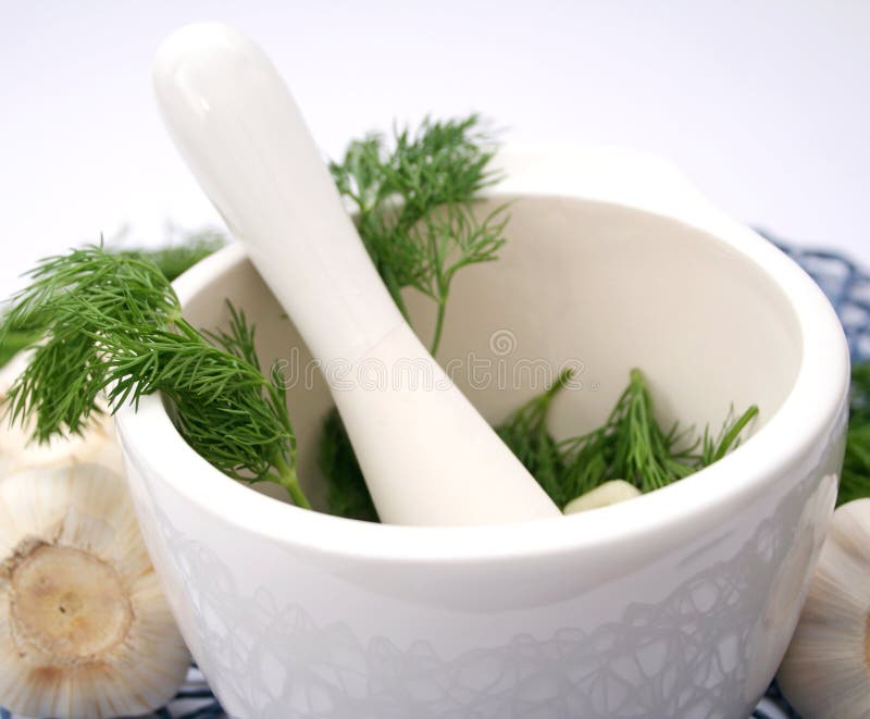 Dill and garlic stock photo. Image of spices, preparing - 37199752