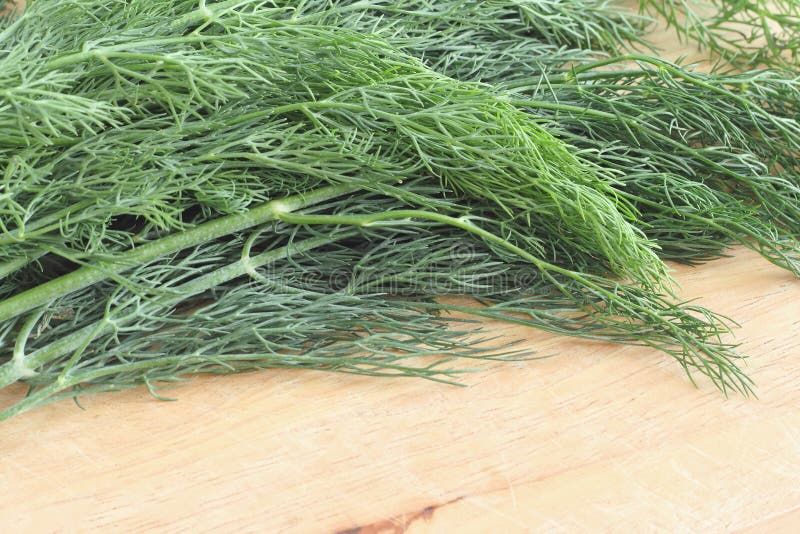 Dill stock photo. Image of herbal, detail, herb, closeup - 65396208