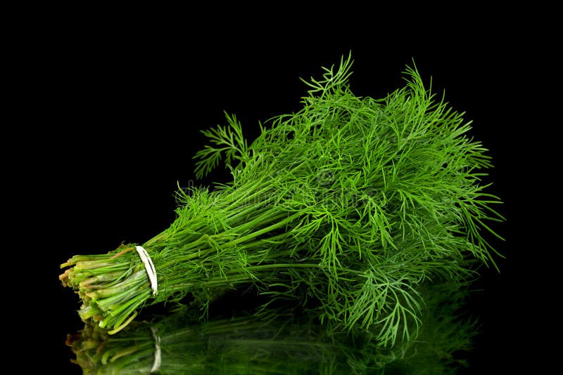 Dill Herb Bunch On Background Stock Photo - Image of plant, freshness ...