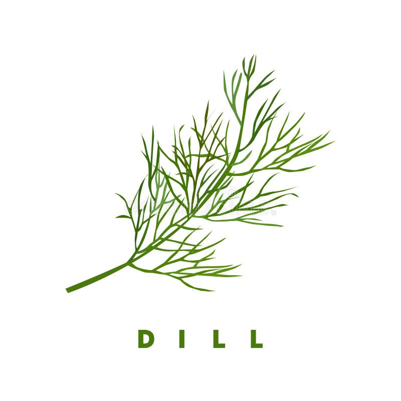 Dill Herb, Food Vector Illustration, Isolated Logo Stock Vector ...