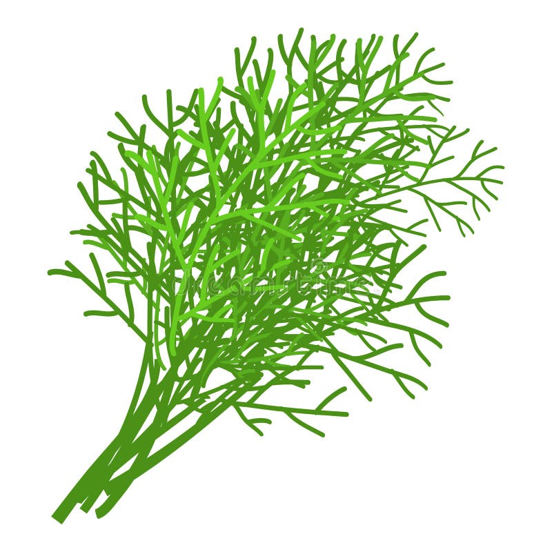 Dill Icon In Outline Style Isolated On White Background. Herb An Spices ...