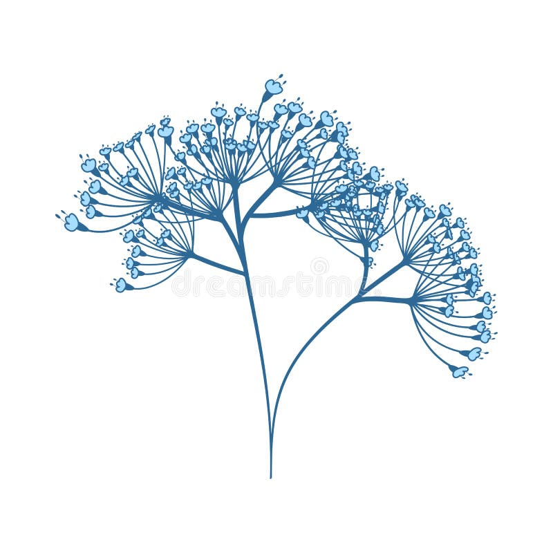 Dill Icon in Flat Style Isolated on White Background. Herb an Spices ...