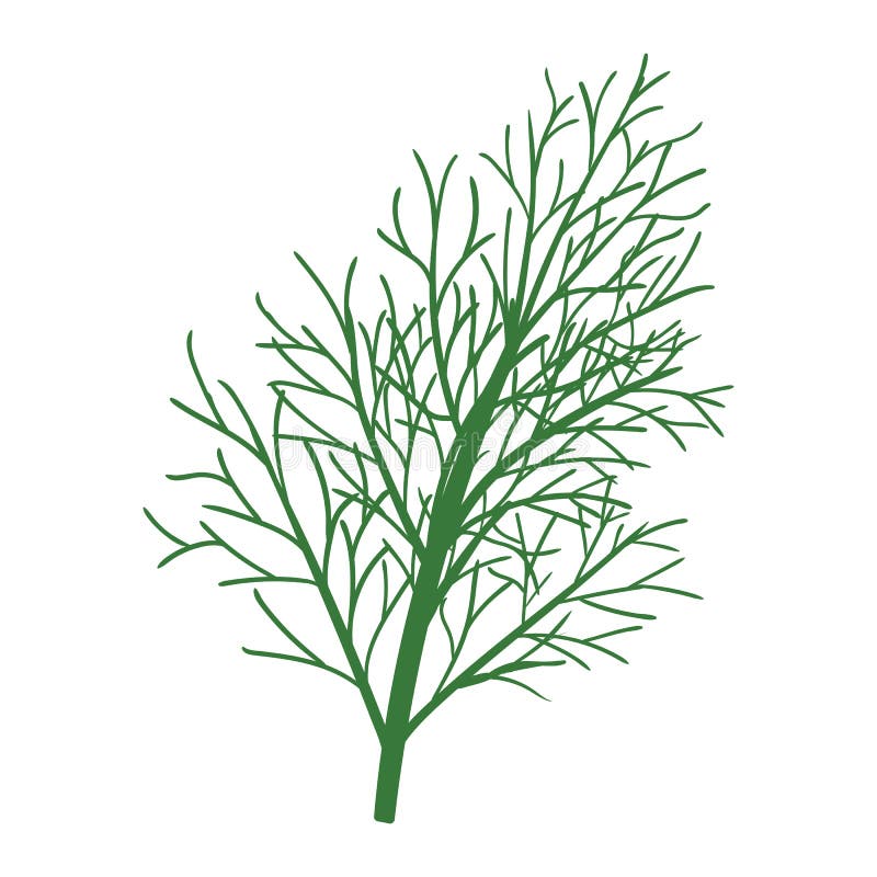Dill Icon in Cartoon Style Isolated on White Background. Herb an Spices ...