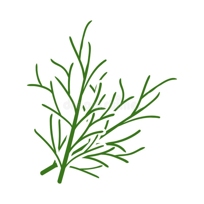 Dill Icon in Black Style Isolated on White Background. Herb an Spices ...