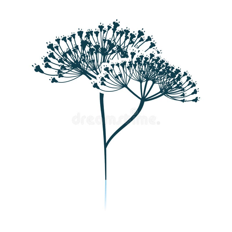 Dill icon stock vector. Illustration of icon, decoration - 67735334
