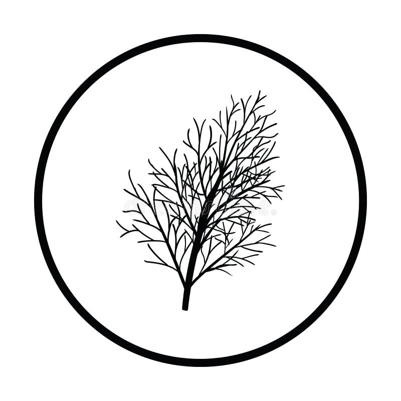 Dill Icon in Cartoon Style Isolated on White Background. Herb an Spices ...