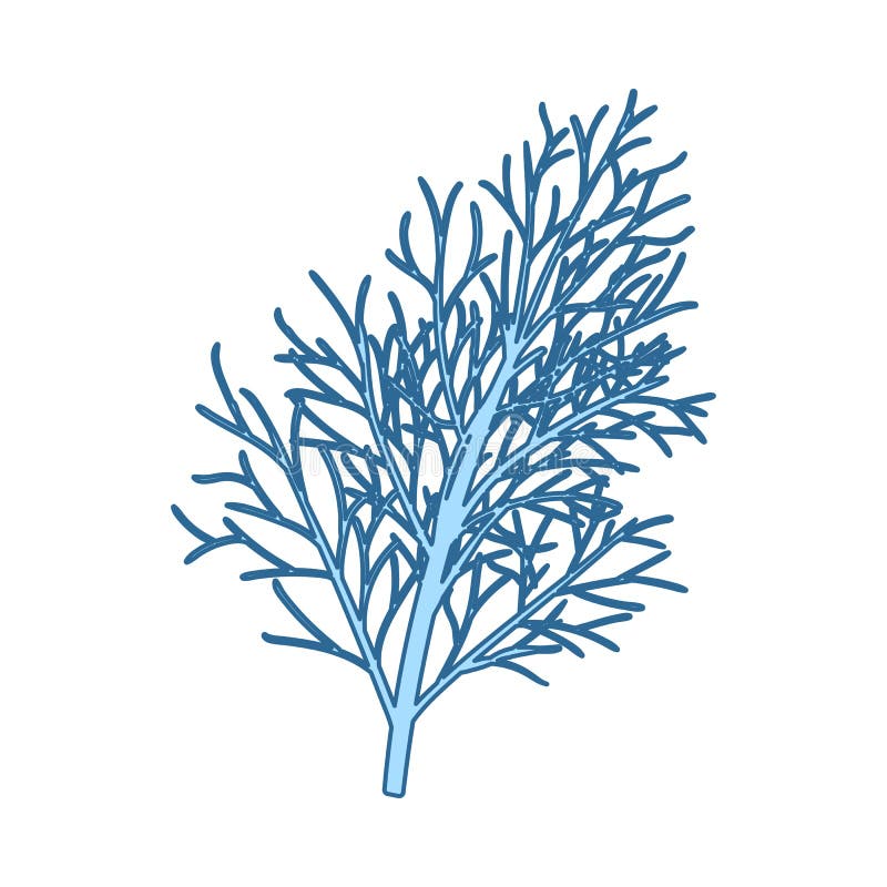 Dill Icon stock vector. Illustration of food, plant - 167462434