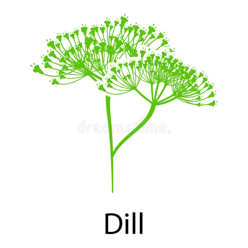 Dill icon stock vector. Illustration of icon, decoration - 67735334