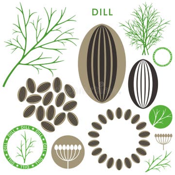 Dill Logo Stock Illustrations – 1,900 Dill Logo Stock Illustrations ...