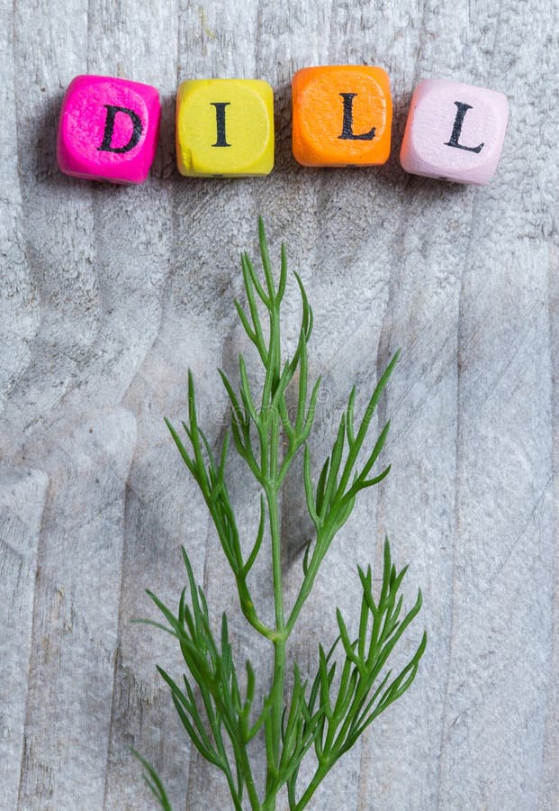 Dill with Letter Cube Concept Against Gray Wood Stock Photo - Image of ...