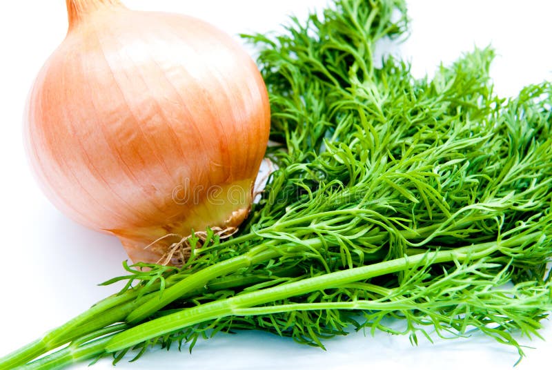 Dill and onion stock image. Image of color, onion, seasoning - 24293059
