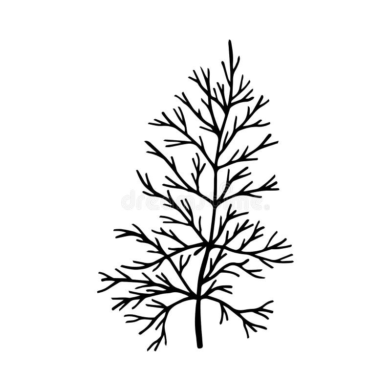 Outline Dill Stock Illustrations – 1,319 Outline Dill Stock ...