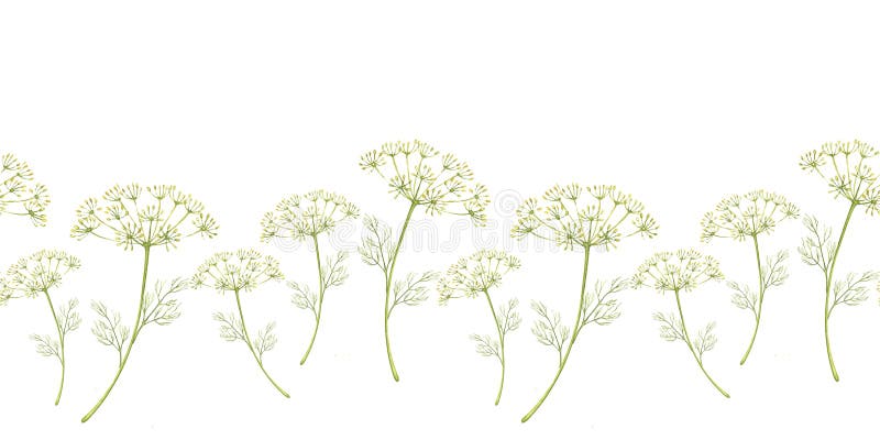 Border Marinade Stock Illustrations – 10 Border Marinade Stock ...