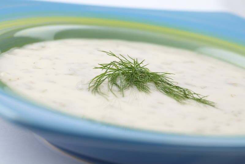 Dill soup stock photo. Image of gourmet, herbs, homemade - 25516988